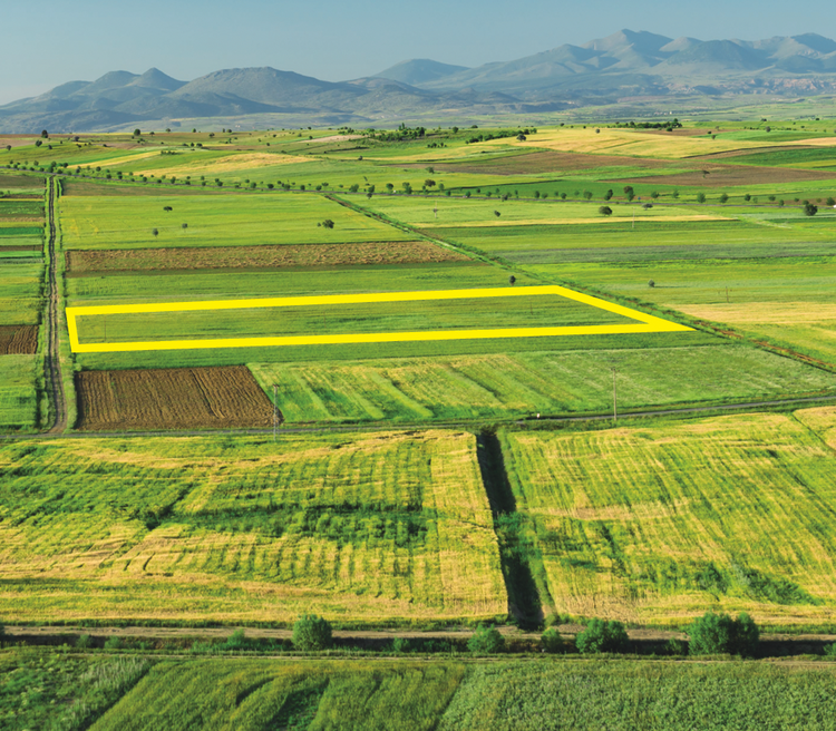 Test it for yourself – SoluSil